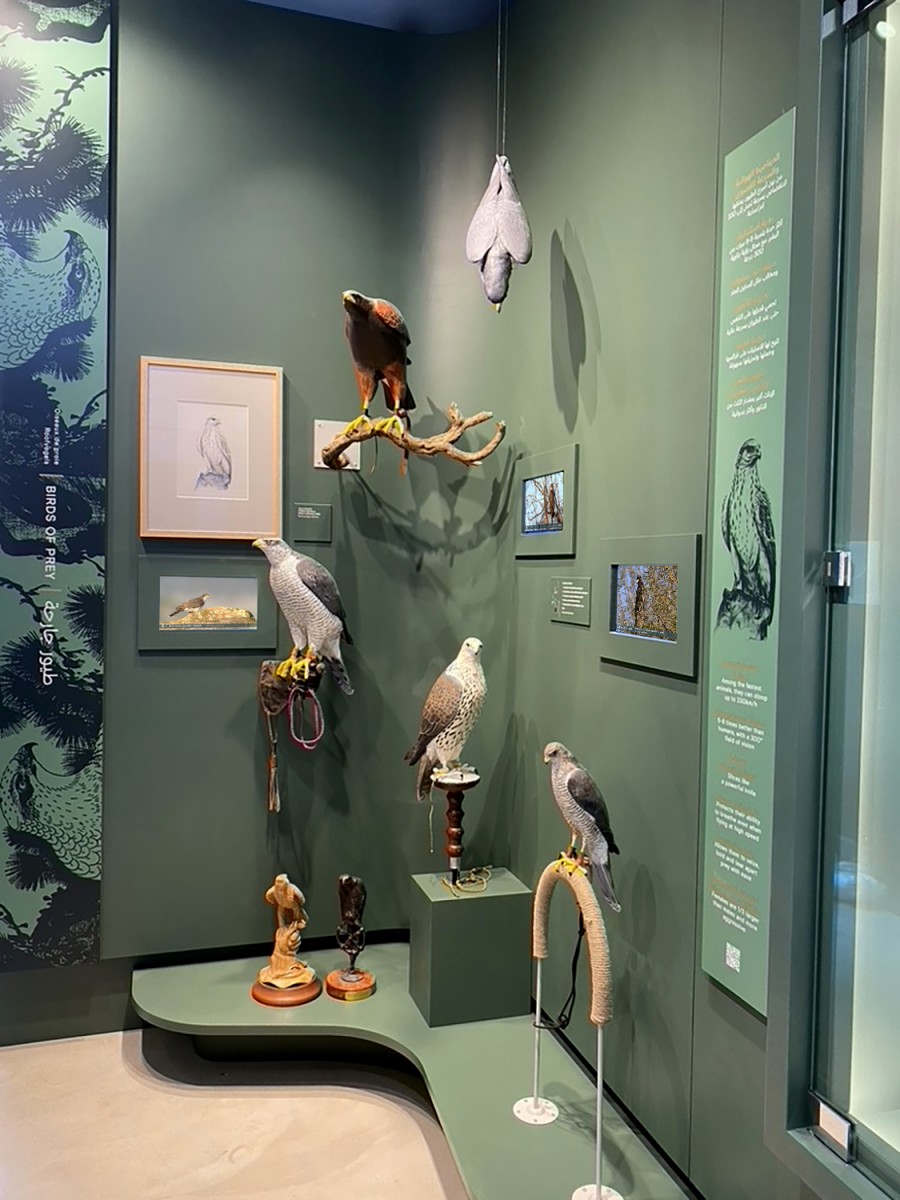 International Museum of Falconry | Drôle de trame